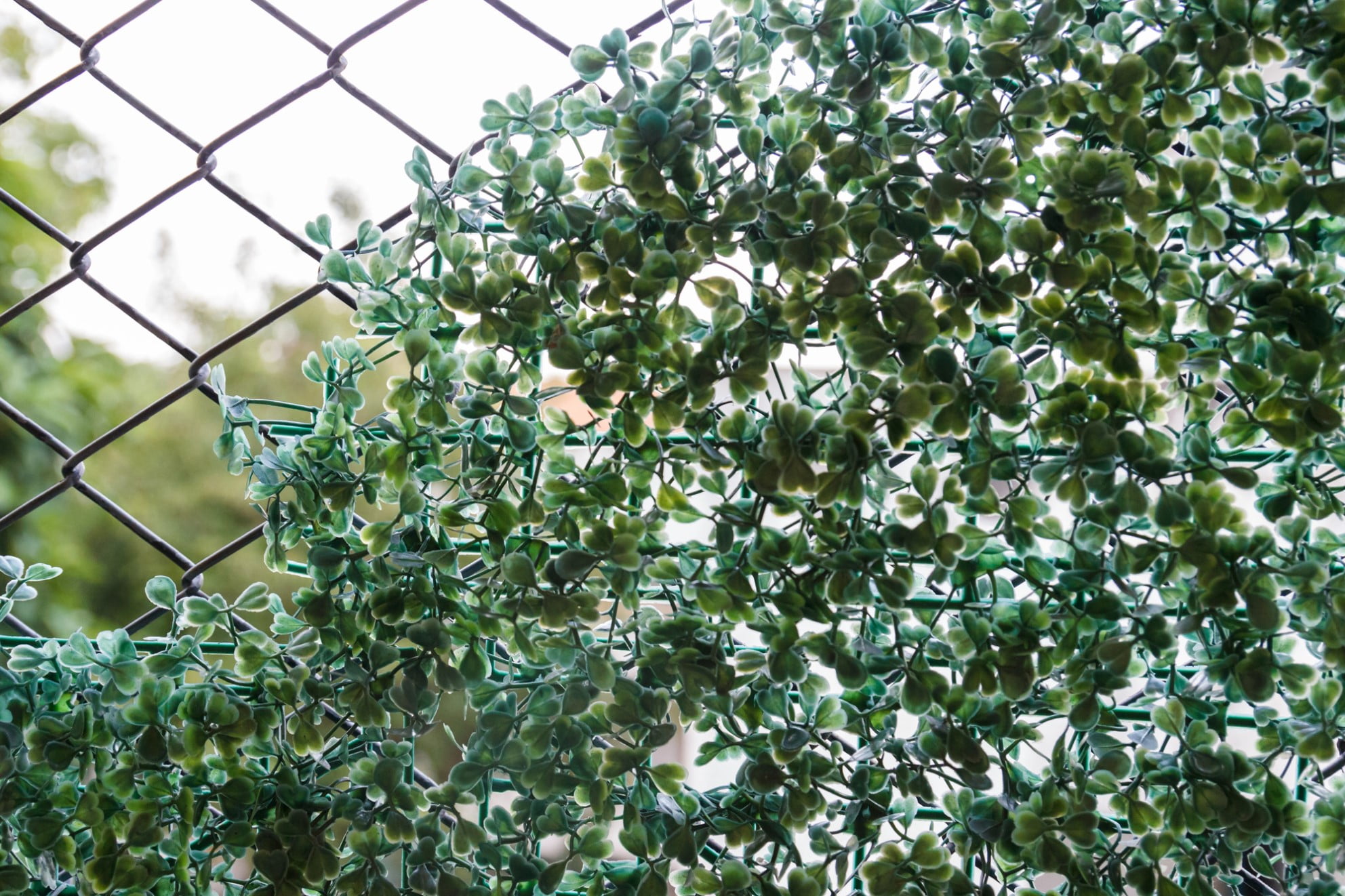 DIY Chain Link Fence Upgrades | Peg City Fence Pros Inc.